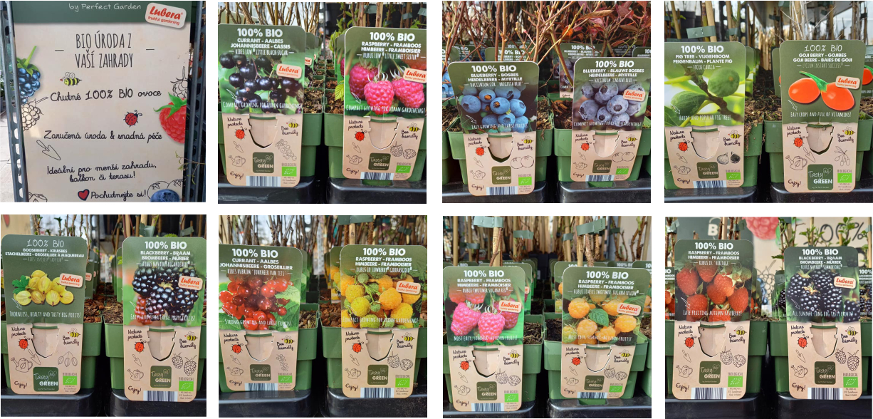 Ovocné stromky a keře na zahrádku i do nádoby? Užijte si kouzlo ...